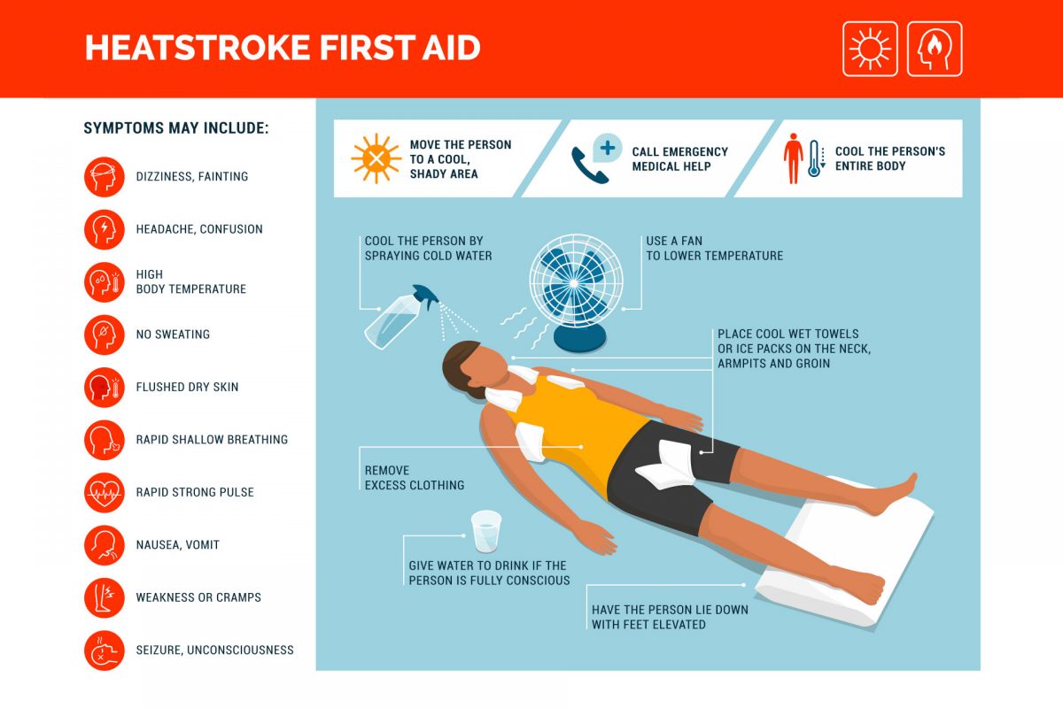 Heat Stress Can Be Fatal Know The Signs And Prevent It Signature