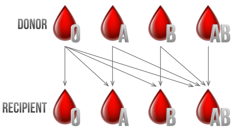 Why is Blood Typing Significant? - Signature Health Services