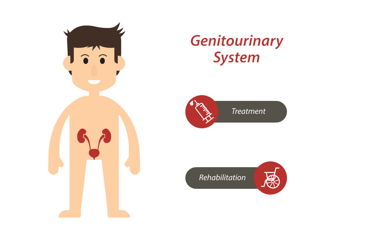 Genitourinary System - Signature Health Services